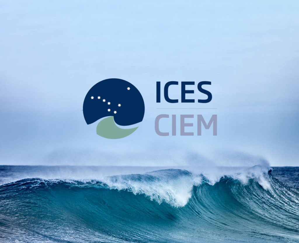 Respect for the Sea | King Oscar